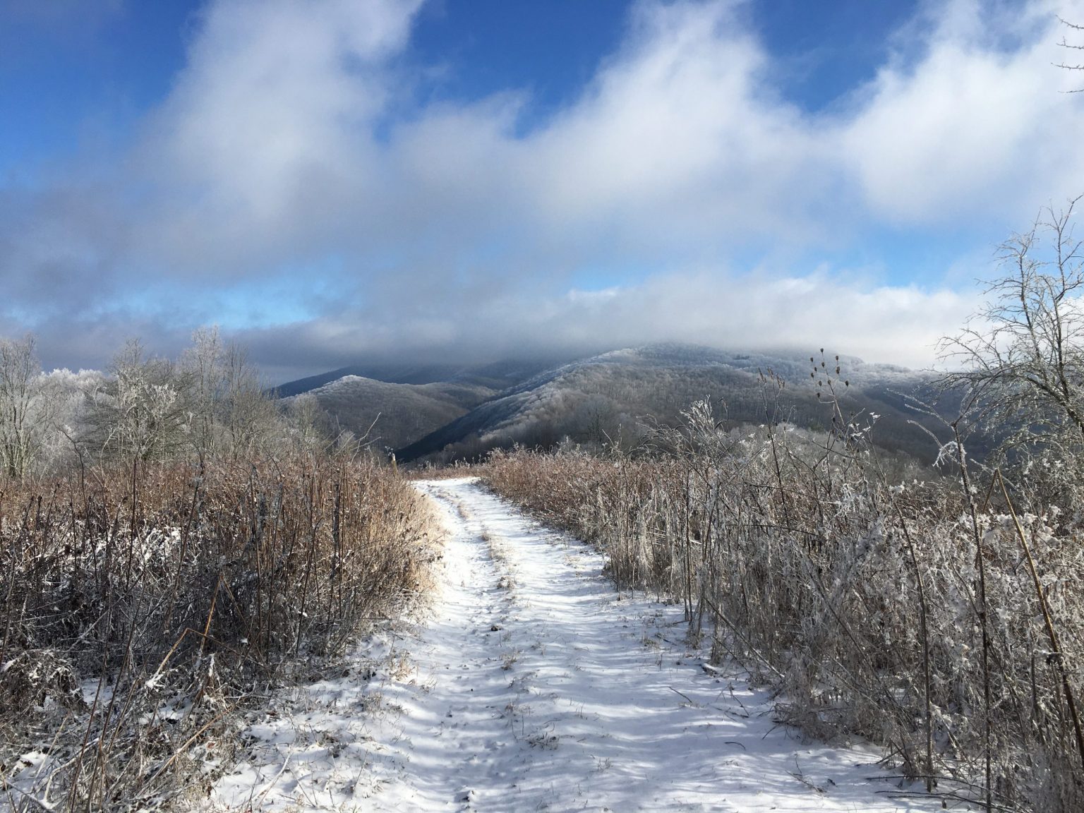 Experience the Mountain Life of Madison County, NC | A Winter Guide for ...